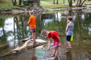 Rules and Regulations – Big Meadow Campground